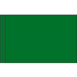 Color Flag: Bright Green | FlagandBanner.com