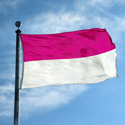 Double Stripe Flag: Magenta/ White | FlagandBanner.com