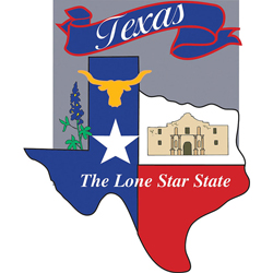 Texas Lone Star State Banner | FlagandBanner.com