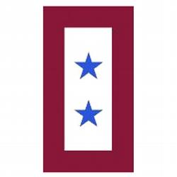 Blue Service Star magnet | FlagandBanner.com