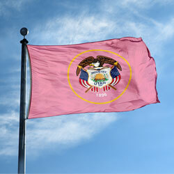 Pink Utah Nylon Flag (3 ft. x 5 ft.) | FlagandBanner.com