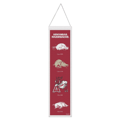 Arkansas Razorbacks Evolution Wool Banner (8 in. x 32 in ...