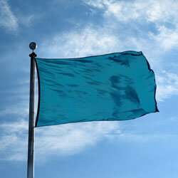 Color Flag: Parrot Blue | FlagandBanner.com