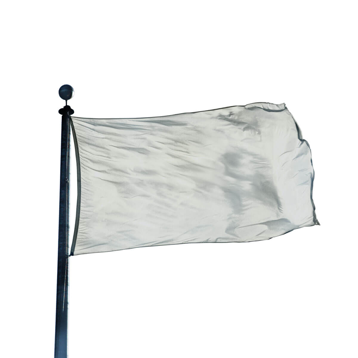 Color Flag: Silver | FlagandBanner.com