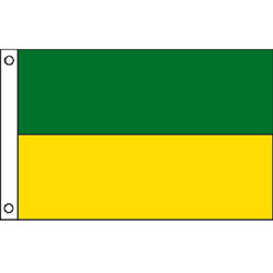 Double Stripe Flag: Yellow/Green | FlagandBanner.com