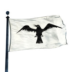 Raven Flag | FlagandBanner.com