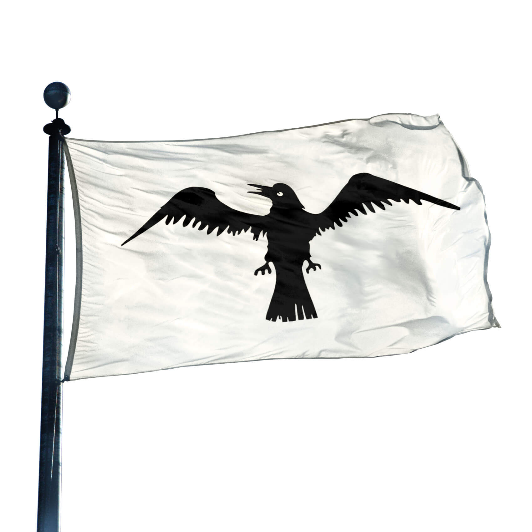 Raven Flag | FlagandBanner.com
