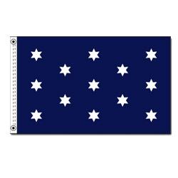 Washington Commander-In-Chief Flag | FlagandBanner.com