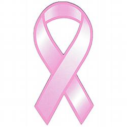 Pink Ribbon Magnet | FlagandBanner.com