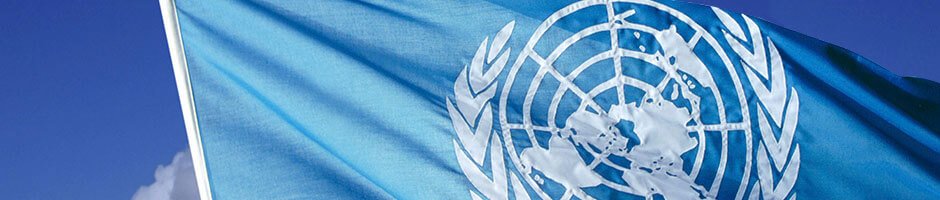 Organization Flags, Democrat, Republican | FlagandBanner.com