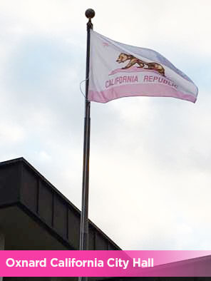 Pink California Nylon Flag (3 ft. x 5 ft.) | FlagandBanner.com